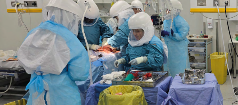 Chief Medical Officer’s Annual Report 2025 published | Usher Institute ...